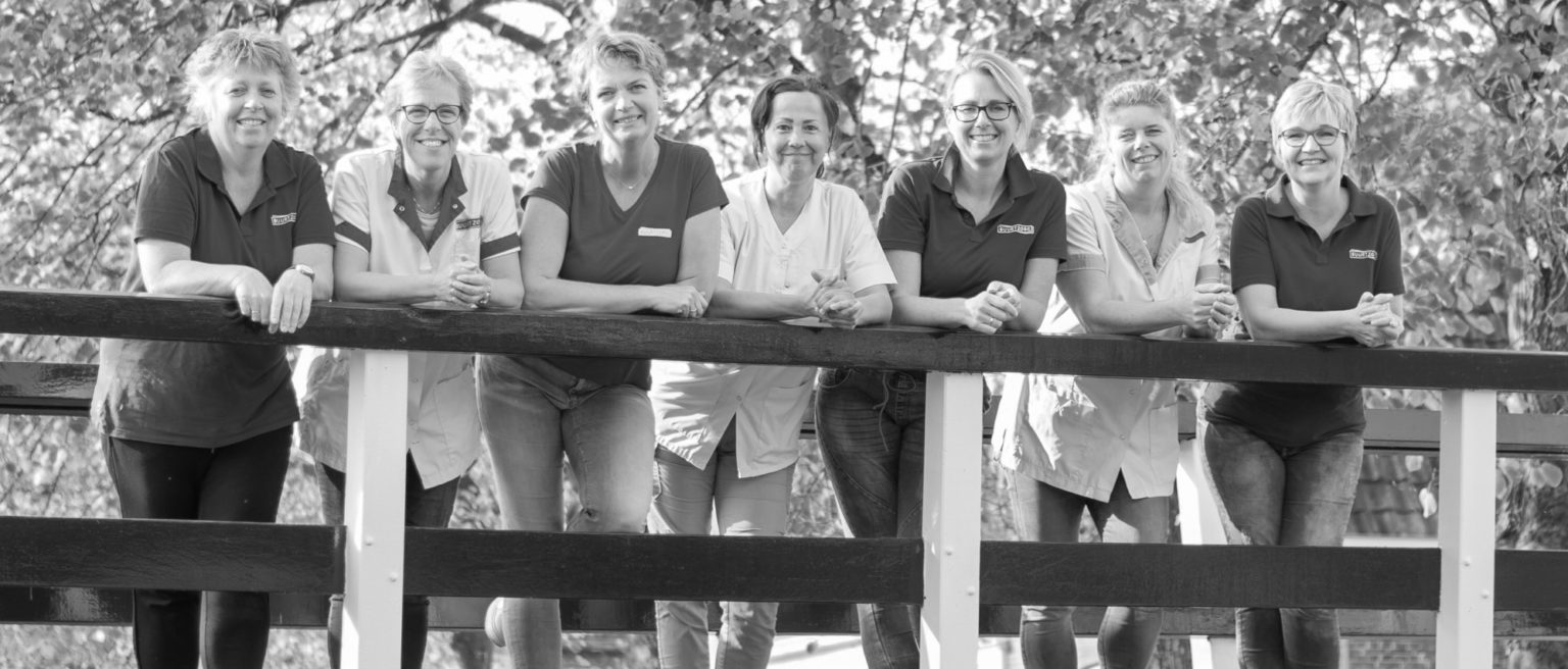 Buurtzorg + - Buurtzorg International